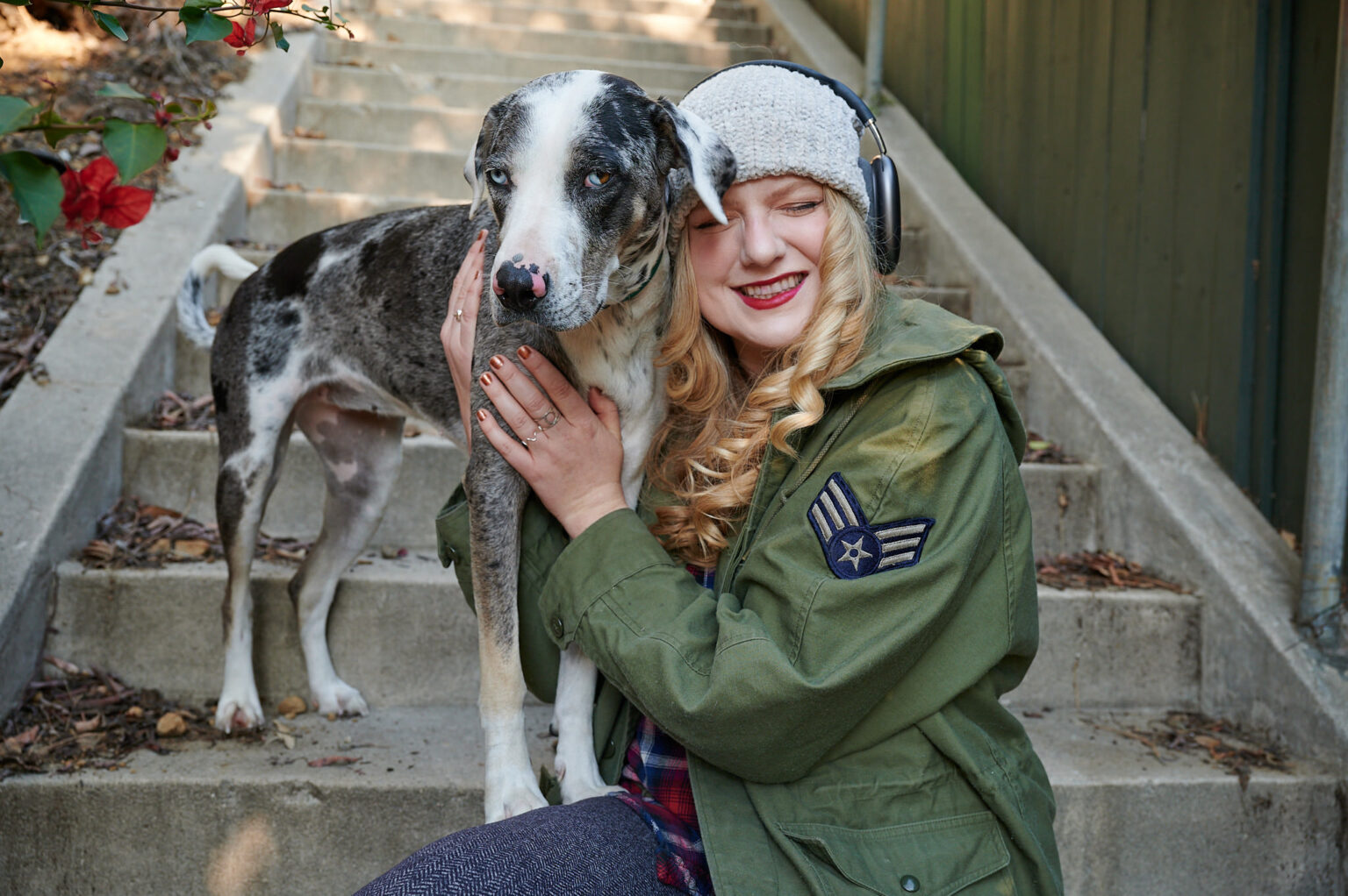 Home - Gibi Pet GPS Tracking